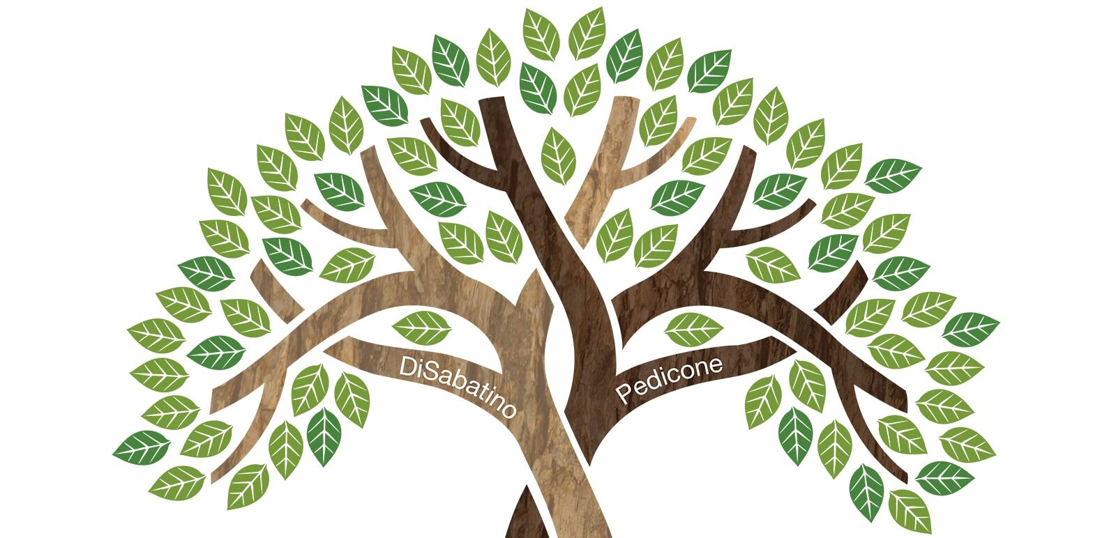 It's A (Pedicone) Family Tradition - EDiS Company