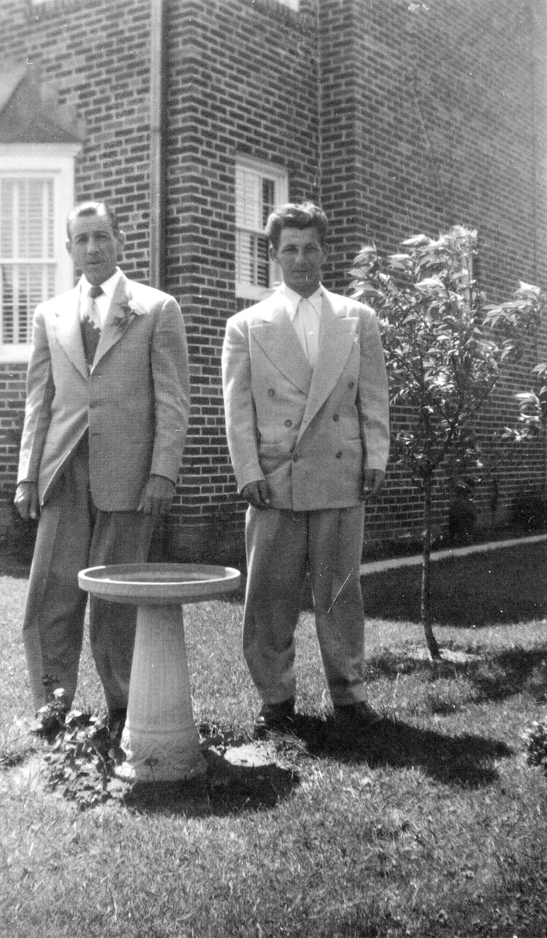 It's A (Pedicone) Family Tradition - EDiS Company